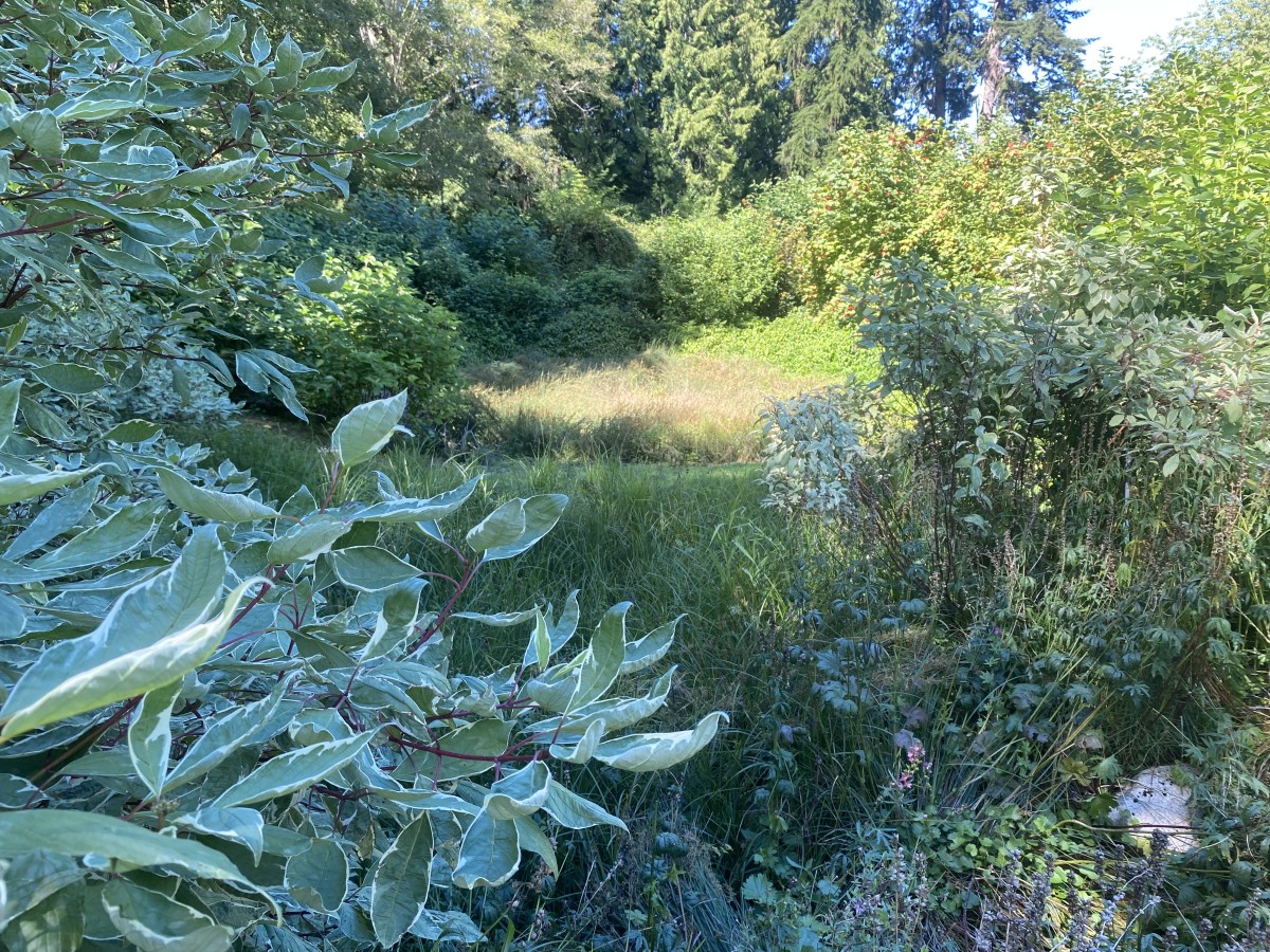 Buck Lake Native Plant Garden