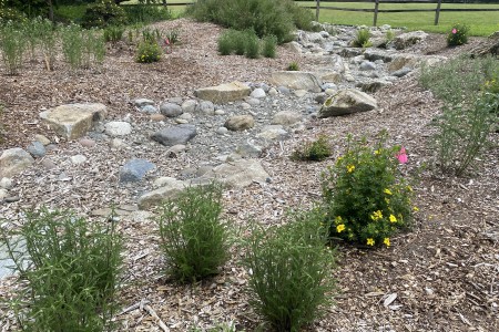 Buck Lake Native Plant Garden
